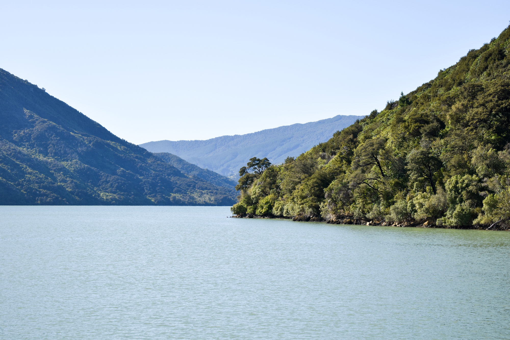 Book a cruise - Pelorus Mail Boat - Marlborough, New Zealand