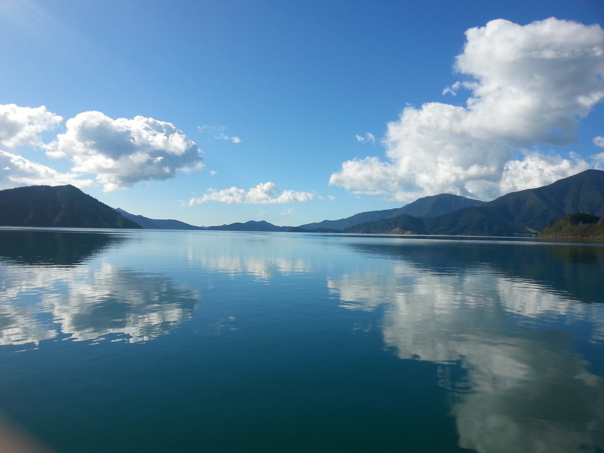 About us - Pelorus Mail Boat - Marlborough, New Zealand