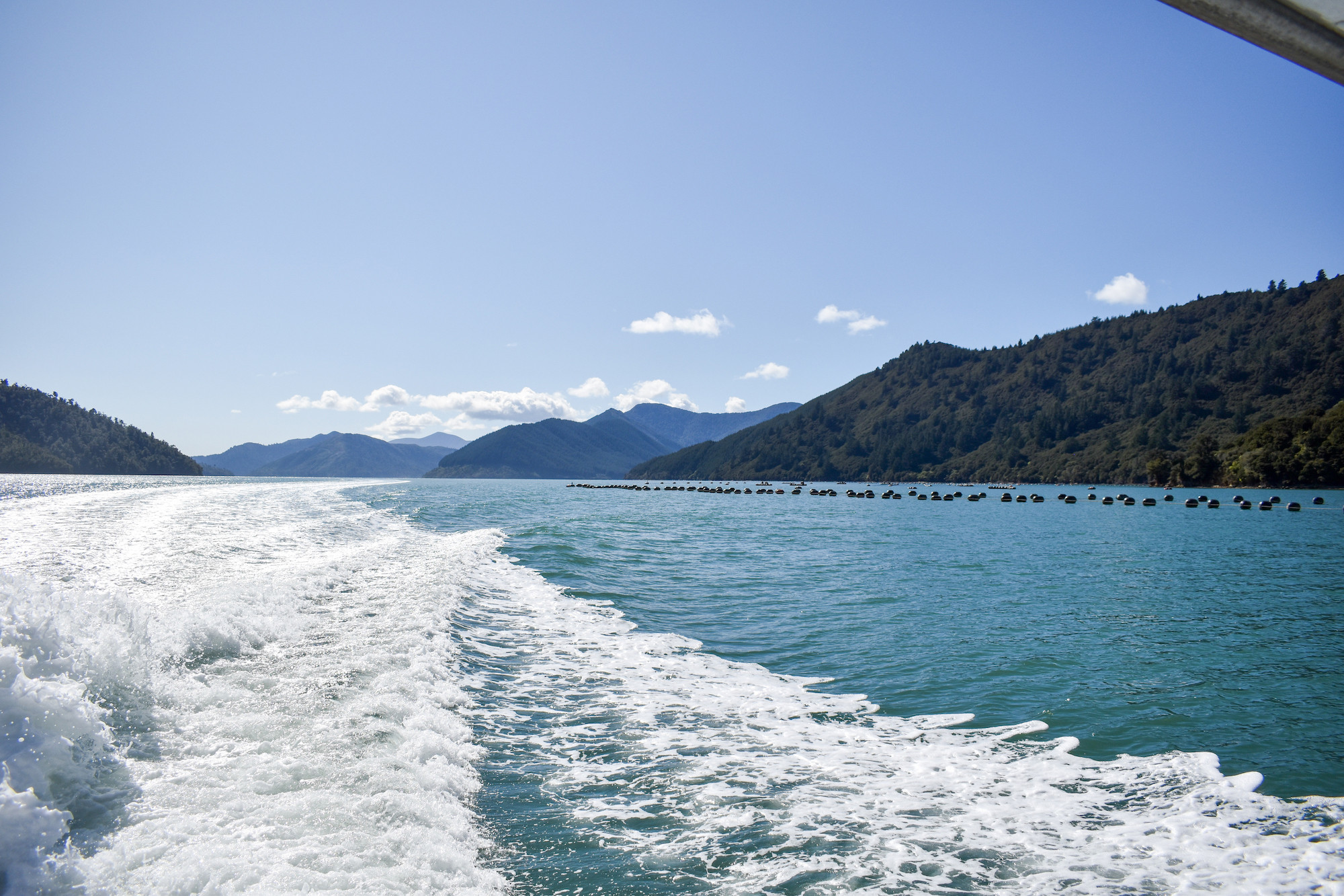 Pelorus Mail Boat Cruise and Tour - Marlborough New Zealand