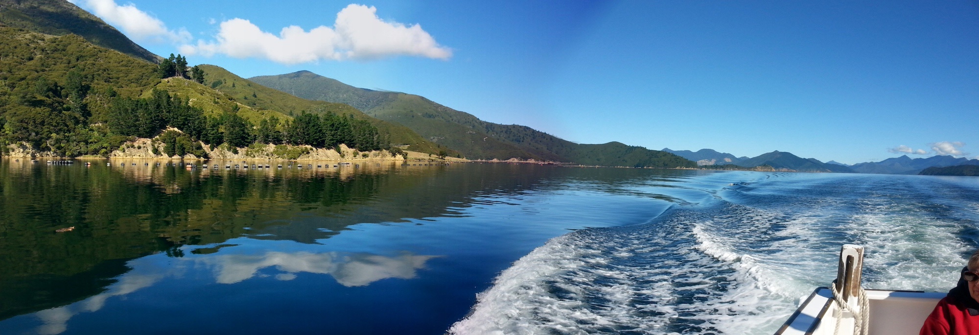 Saturday Cruise - Pelorus Mail Boat, Marlborough New Zealand